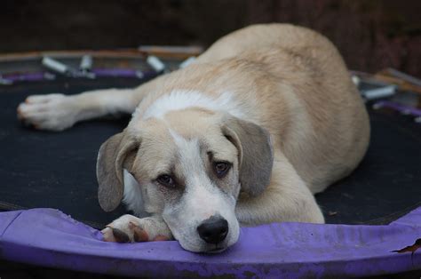 Mr Dicky Mit Dem Skeptischen Blick Pflegemuttis Jimdo Page