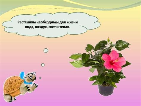 Как живут растения 1 класс презентация к уроку Окружающий мир скачать презентацию