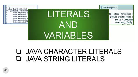 Literals And Variables 1pdf