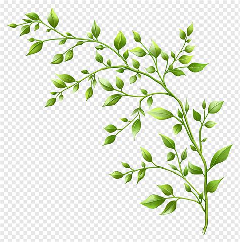 Green Twig Leafy Branch Png PNGWing