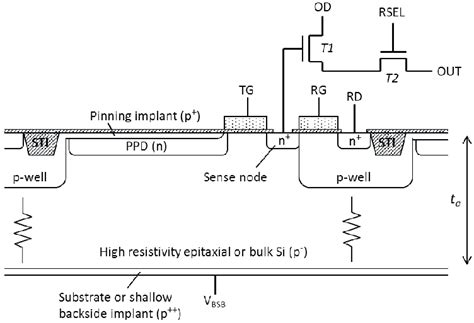 Cross Section Of A Typical Pinned Photodiode Ppd Pixel Showing The Download Scientific