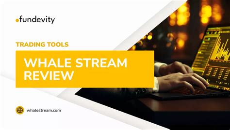 Whale Stream Review Understanding Options Trading Dynamics