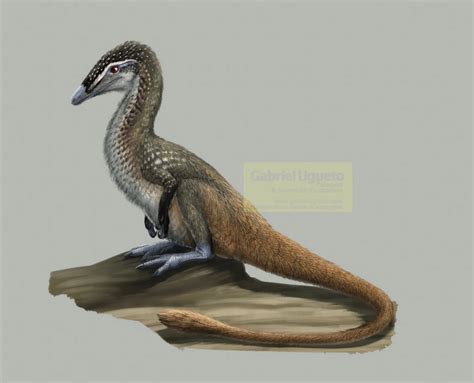 Procompsognathus Paleo Media Wiki Fandom Procompsognathus Paleo Media Wiki Fandom
