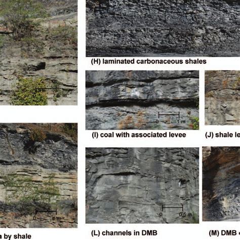 Hierarchy Of Fluvial Architectural Elements Download Scientific Diagram