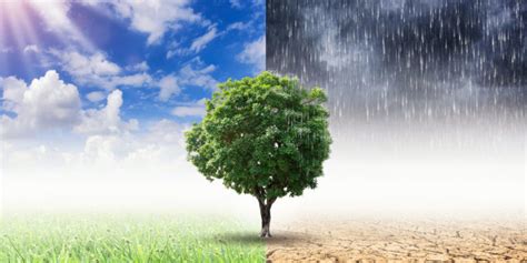 La Naturaleza El Cambio Climatico En La Naturaleza