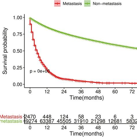 Nomogram Predicting 1 2 3 And 5 Years Overall Survival In Bladder Download Scientific Diagram