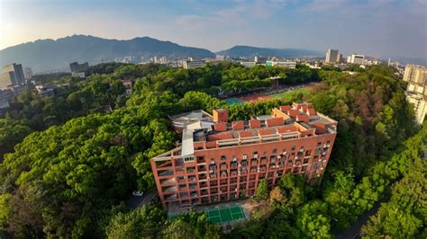 历史沿革 西南大学美术学院 babe of Fine Arts Southwest University