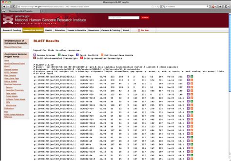 The Mnemiopsis BLAST Implementation Provides Users An Intuitive Web