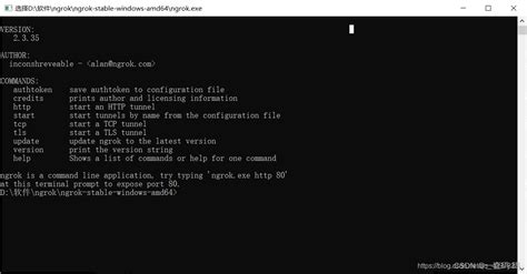 最全ngrok实现内网穿透详细教程（windows linux） csdn博客