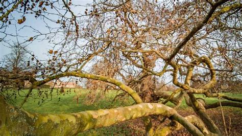 Buy A Raspberry Pi Camera Module 3 Raspberry Pi