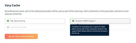 A Great Configuration Not Yet Reported LiteSpeed Cache BunnyCDN Issue Rosell Dk