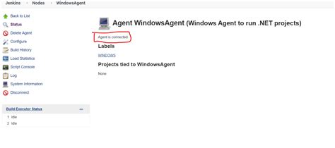 Windows Agent For Jenkins Master Issue Issue QT DevOps DevOpsIssues GitHub