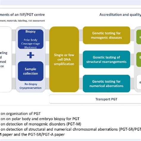 Overview Of The Testing Strategies That Can Be Applied For Pgt M