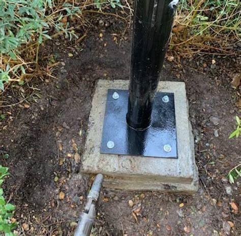 Tree Bracing Environmental Tree Care