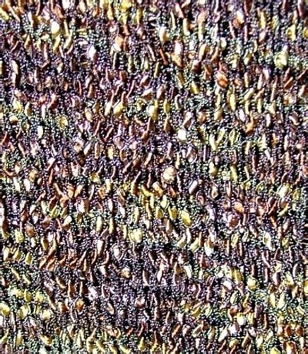 Ravelry Evening Wear Knitted Tunic Pattern By Elaine Phillips