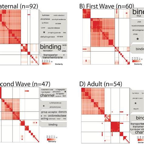 Clustered Binary Cut Semantic Similarity Matrix Of Biological Process