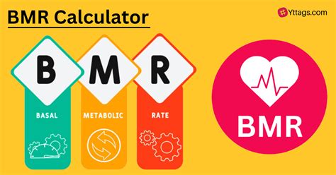Bmr Calculator Calculate Your Basal Metabolic Rate Yttags
