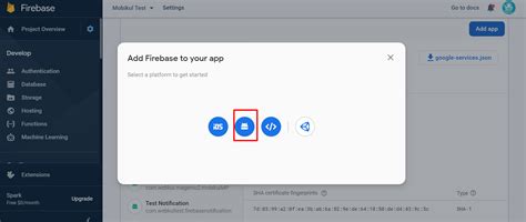 Generating Google Service File To Enable FCM Firebase Cloud Messaging
