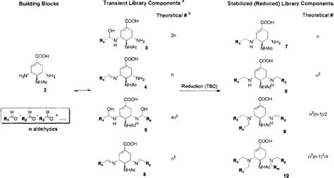 Scheme 1 Structures Of The Scaffold And Library Composition A