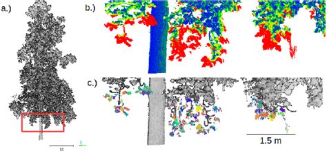 Figure 2 From Automated Segmentation Of Leaves From Deciduous Trees In