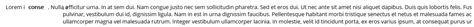 C Flexlayout Doesnt Render Properly Labels Binding From List