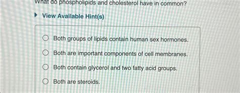 Solved What Do Phospholipids And Cholesterol Have In