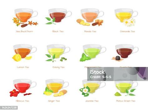 허브 티 유형 다른 유형 녹색 홍차 유리 컵에 뜨거운 설탕 음료 꽃 재스민트 생강 페퍼민트 레몬 레드 히비스커스 음료 향신료 맛 깔끔한 벡터 일러스트 레이 션 차 뜨거운