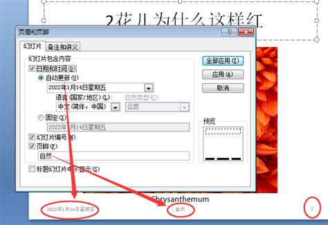 轻松办公系列进阶课堂 OfficePPT演示文稿创建四 正数办公
