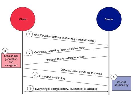 What Is TLS Twilio