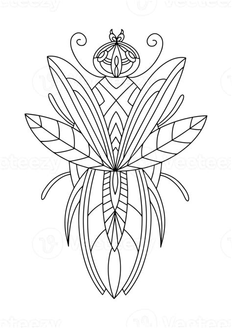 Bug Linear Illustration Png 20481527 Png