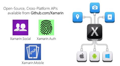 Using Shared Components In Xamarin Forms
