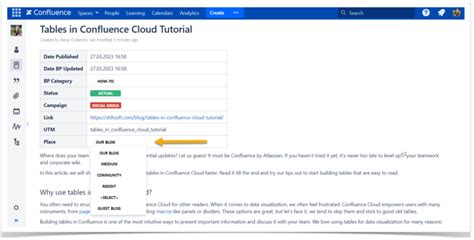 Confluence Status Reporting Tutorial Stiltsoft