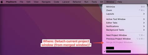New Ui How To Detach Merged Project Windows Solved Ides Support Intellij Platform