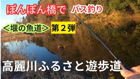 バス釣り高麗川ふるさと遊歩道 ぽんぽん橋付近の様子 YouTube