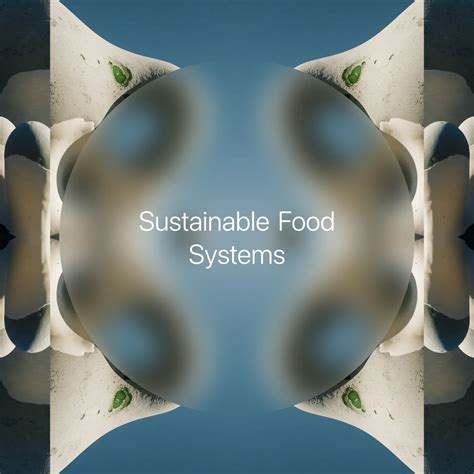 Socio Environmental Systems → Term