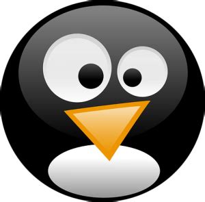 Linux File System Explained A Beginners Guide LinuxLap