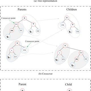 The Tree Representation And The Crossover Mutation Operators Of GP The