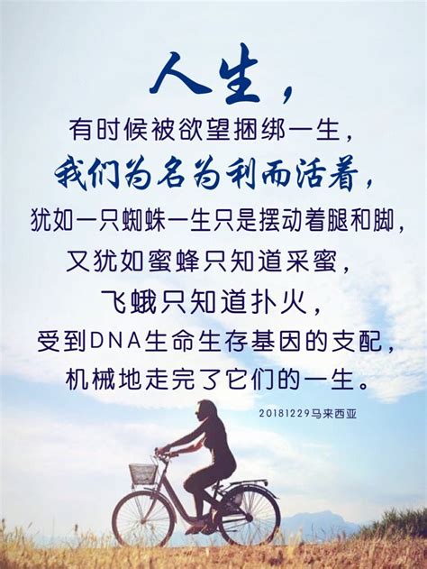 Pin von 黃苓伊 auf 佛言心語