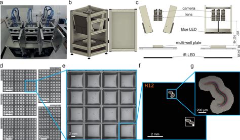 Schematic Of Megapixel Camera Arrays A Five Identical Camera Arrays