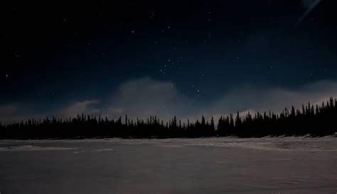 Dark Winter Forest At Night Stock Image Everypixel