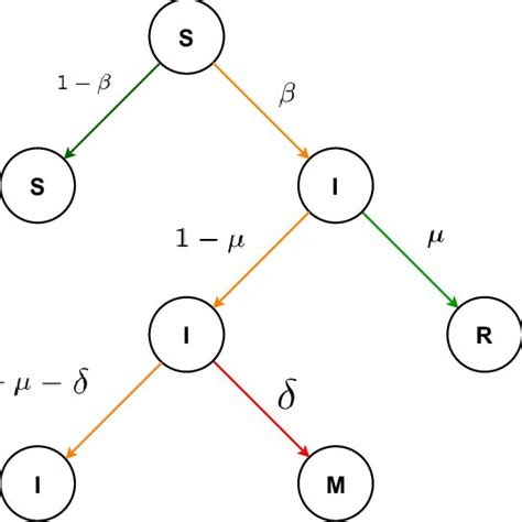 Markov Chain Model For Sir M Download Scientific Diagram