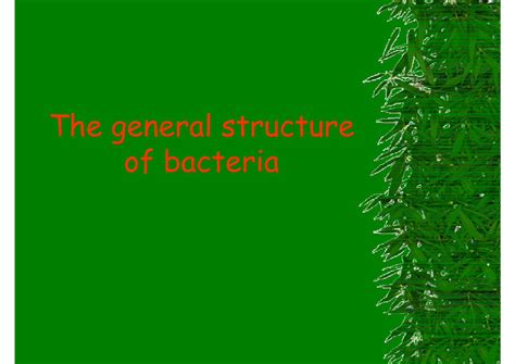 PDF The General Structure Of Bacteria Freemicrobiology Free Fr Presentations