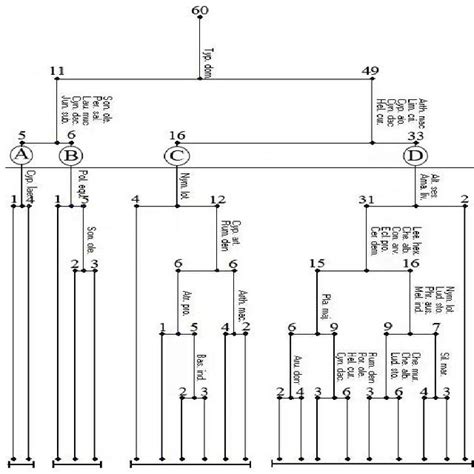 Two Way Indicator Species Analysis Twinspan Dendrogram Of The 60 Download Scientific Diagram