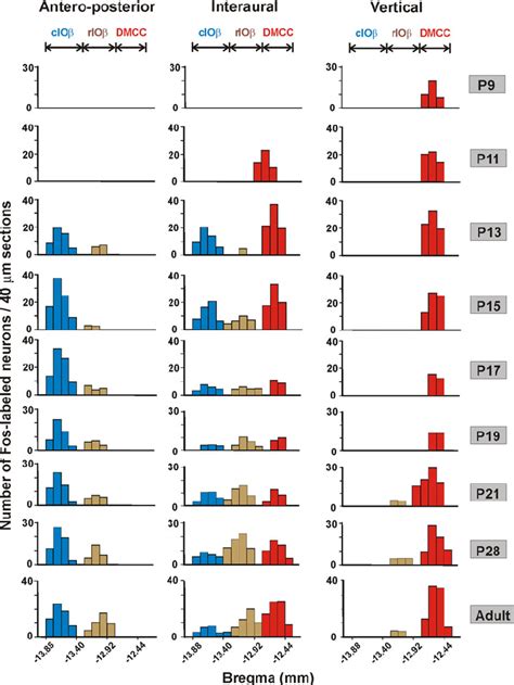 The Number Of Fos Ir Neurons In Dmcc And Iob Of Different Age Groups Of