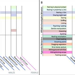 Distribution Of Social Behaviors Among Individuals Of Different Age Sex Download Scientific