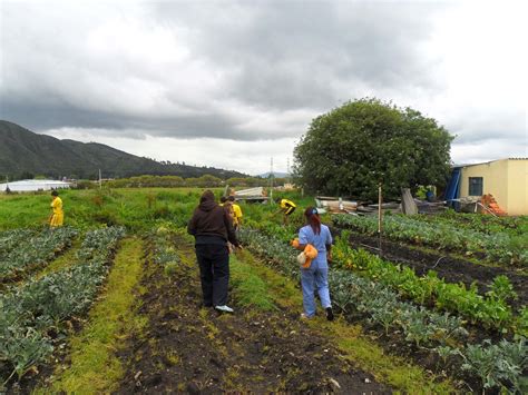 Grupo San Gregorio Trabajando En La Huerta