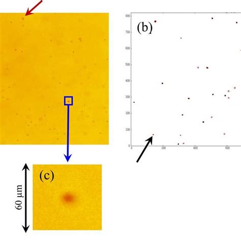 Image After Background Subtraction A And After Treatment B The