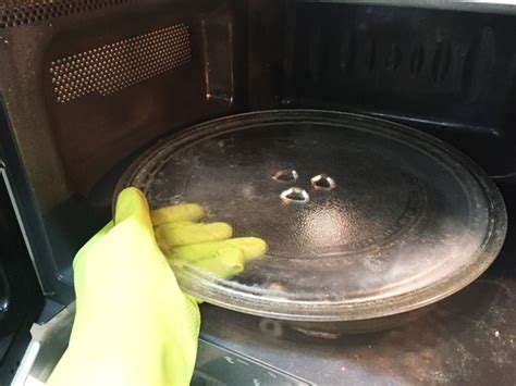 스크랩 물 한 컵으로 끝내는 전자레인지 청소