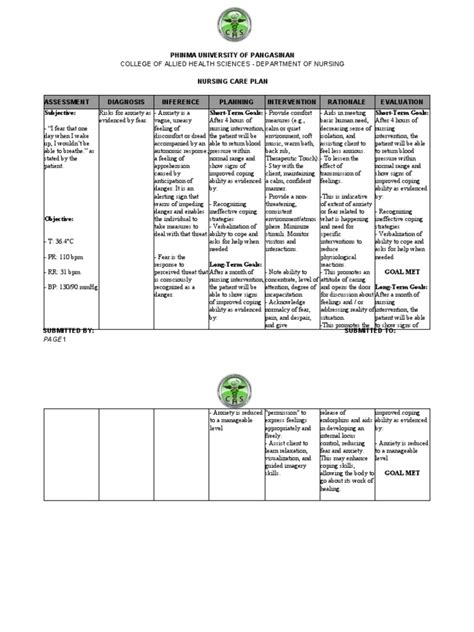 Ncp Template Pdf Anxiety Nursing