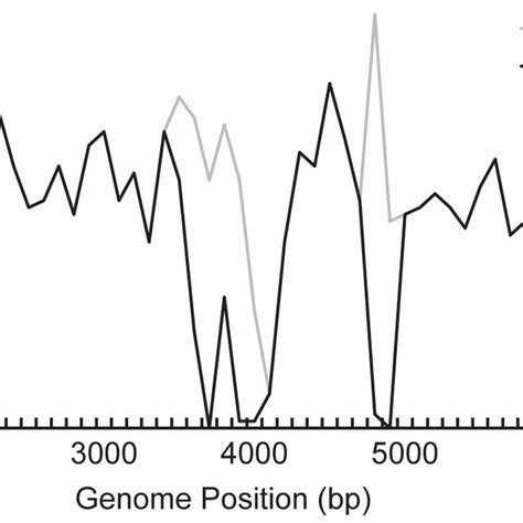 Ncbis Refseq Database Includes Viral Sequence Mis Annotated As Human